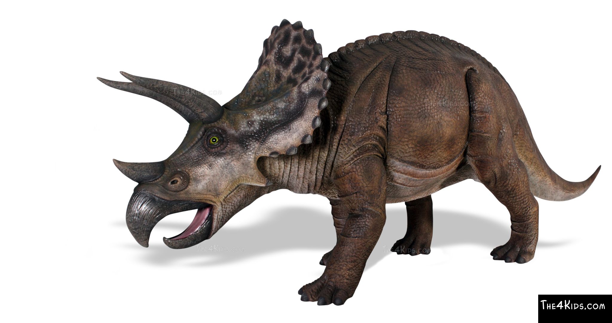 Triceratops Sculpture - The 4 Kids