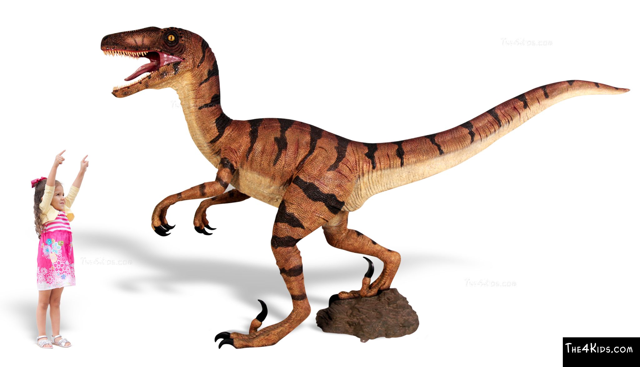 Velociraptor Sculpture - The 4 Kids