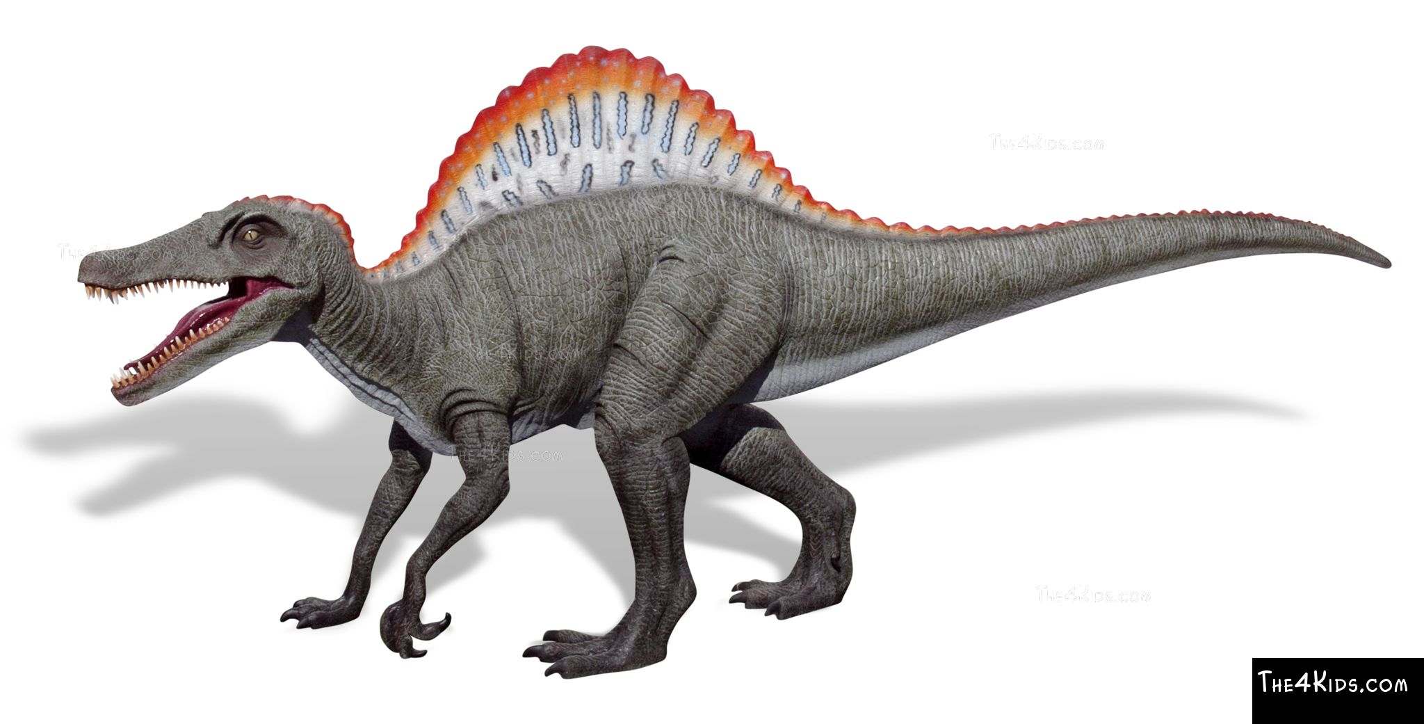 Spinosaurus Facts For Kids Students Information Pictures Hedgehog