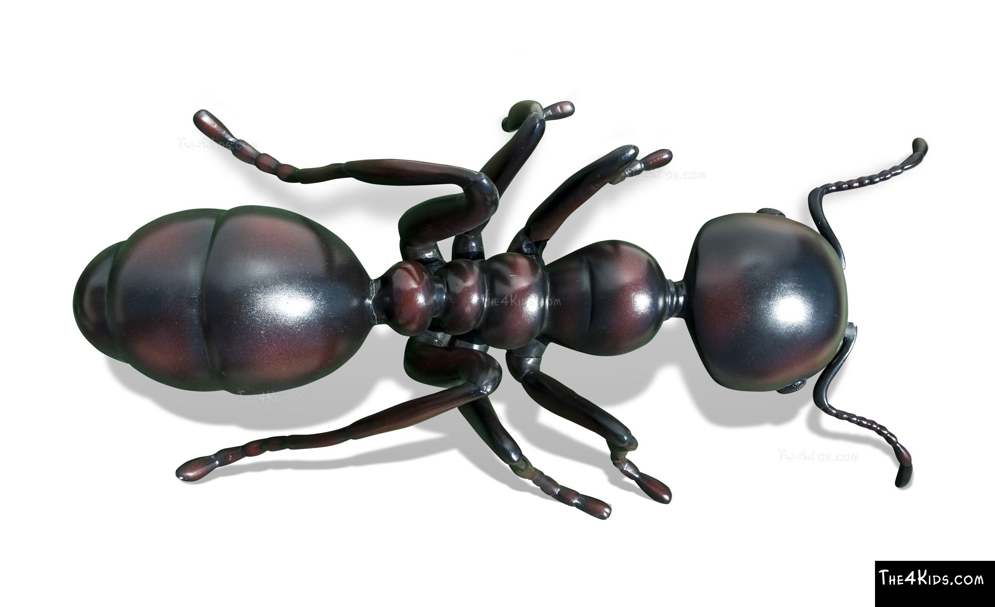 Ant Sculpture - The 4 Kids
