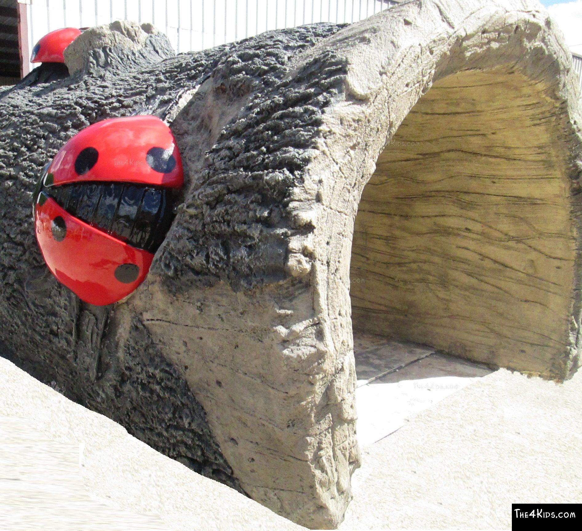 Ladybug Log Crawler - The 4 Kids