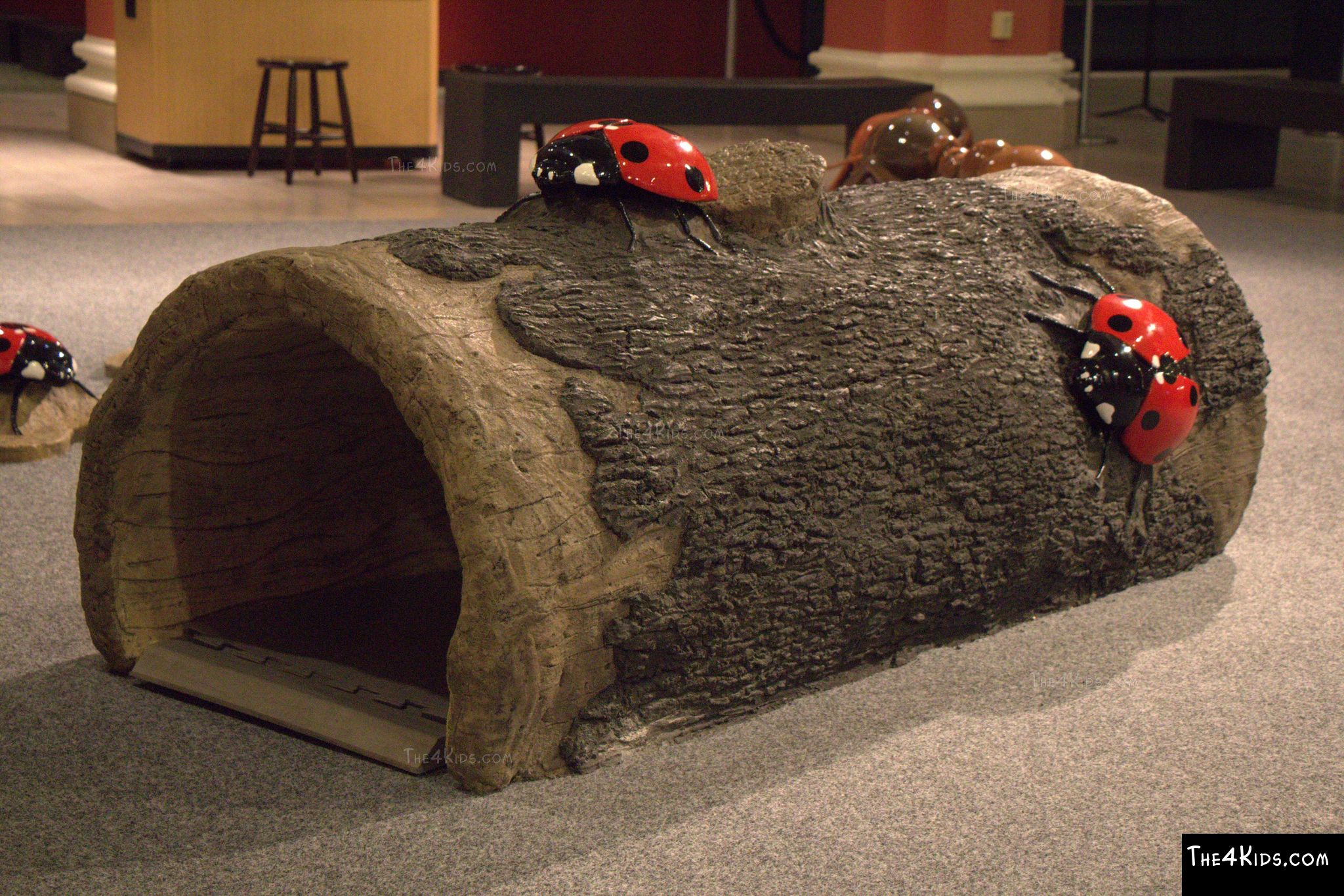 Ladybug Log Crawler - The 4 Kids