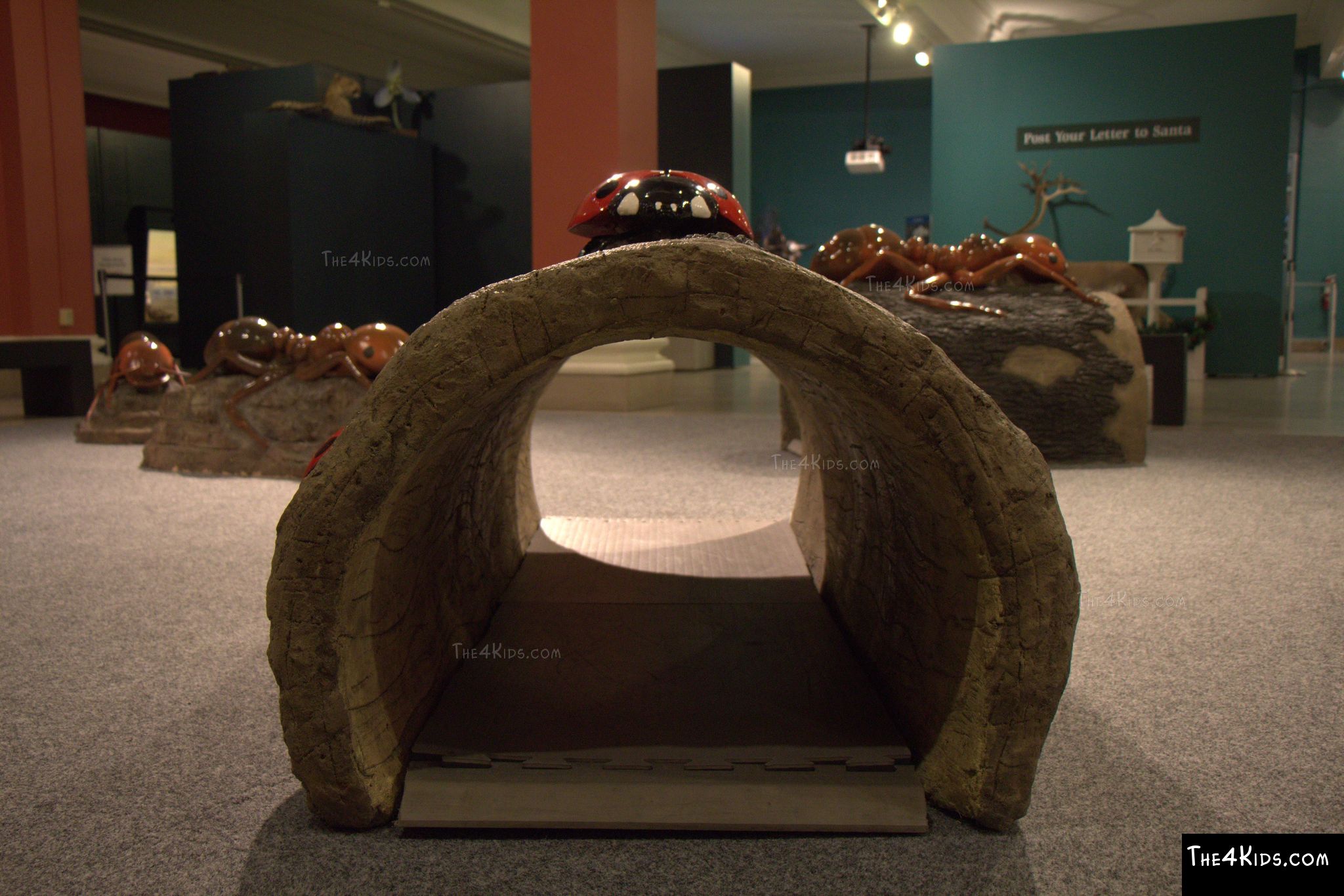 Ladybug Log Crawler - The 4 Kids