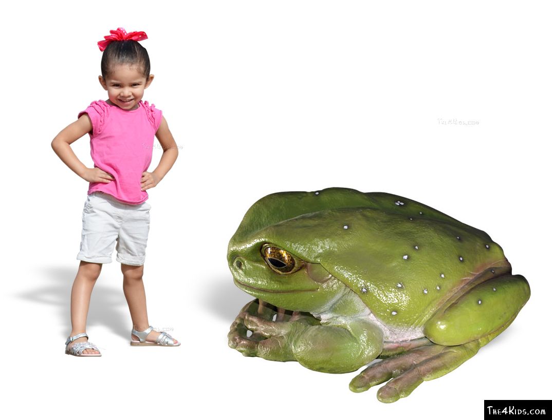 Frog Play Sculpture - The 4 Kids