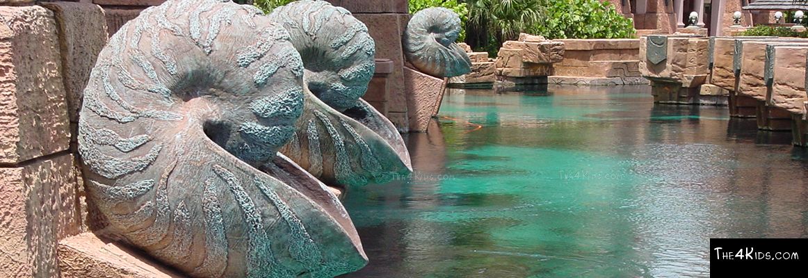 Atlantis Paradise Island Bahamas Project - The 4 Kids