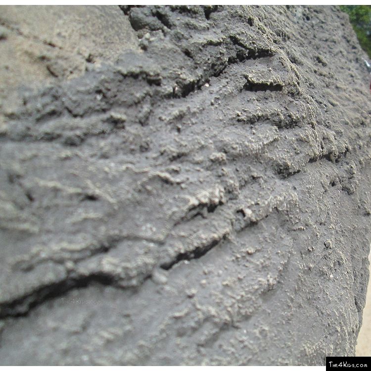 GFRC Tree Texture - The 4 Kids