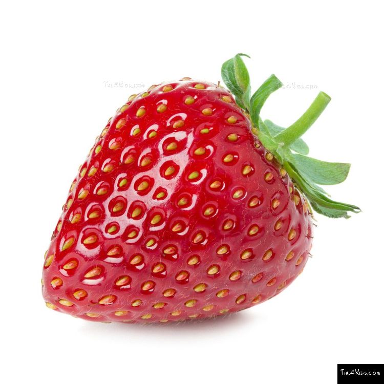 Small Strawberry - The 4 Kids