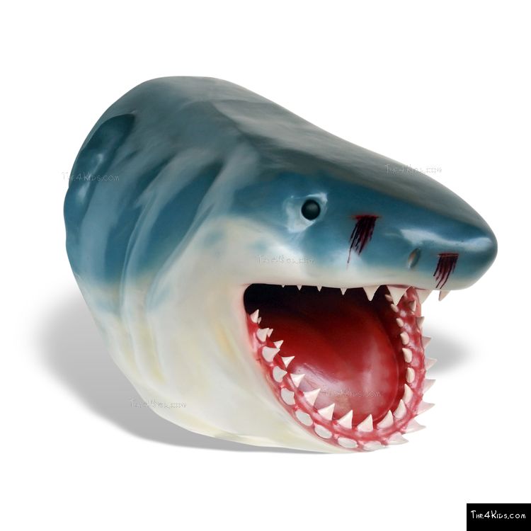 Shark Head - The 4 Kids