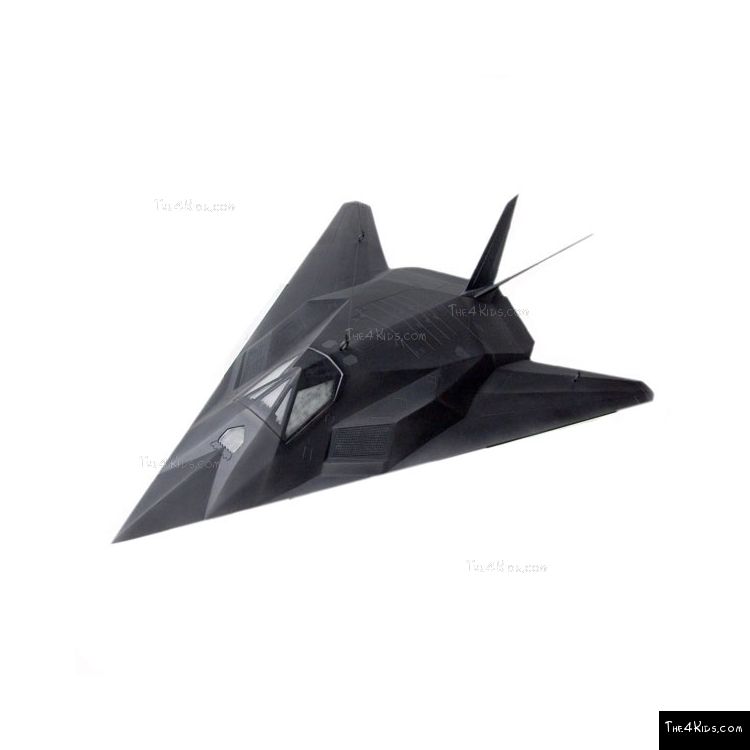 Stealth Plane - The 4 Kids
