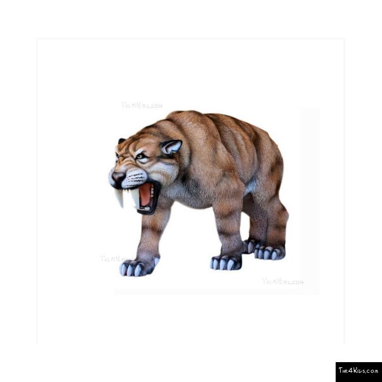 Roaring Saber Toothed Tiger - The 4 Kids