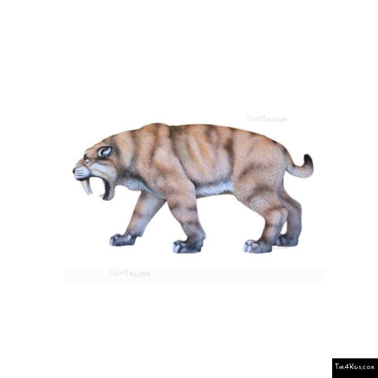Roaring Saber Toothed Tiger - The 4 Kids