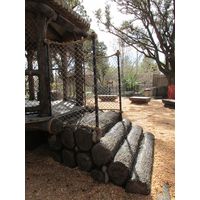 Woodland Tree House - The 4 Kids